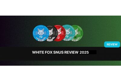 مراجعة وايت فوكس سنوس وأكياس النيكوتين 2025 في قطر