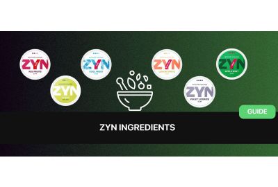 ZYN Ingredient List: Complete Guide to What's Inside Your Pouch